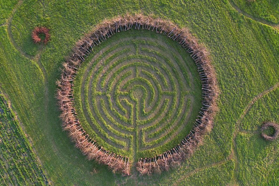 April 7th: Orchard – Big Branch Apiary, LLC